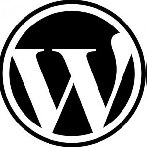 itFun.jp: ガラパゴスジャパン vs WordPress